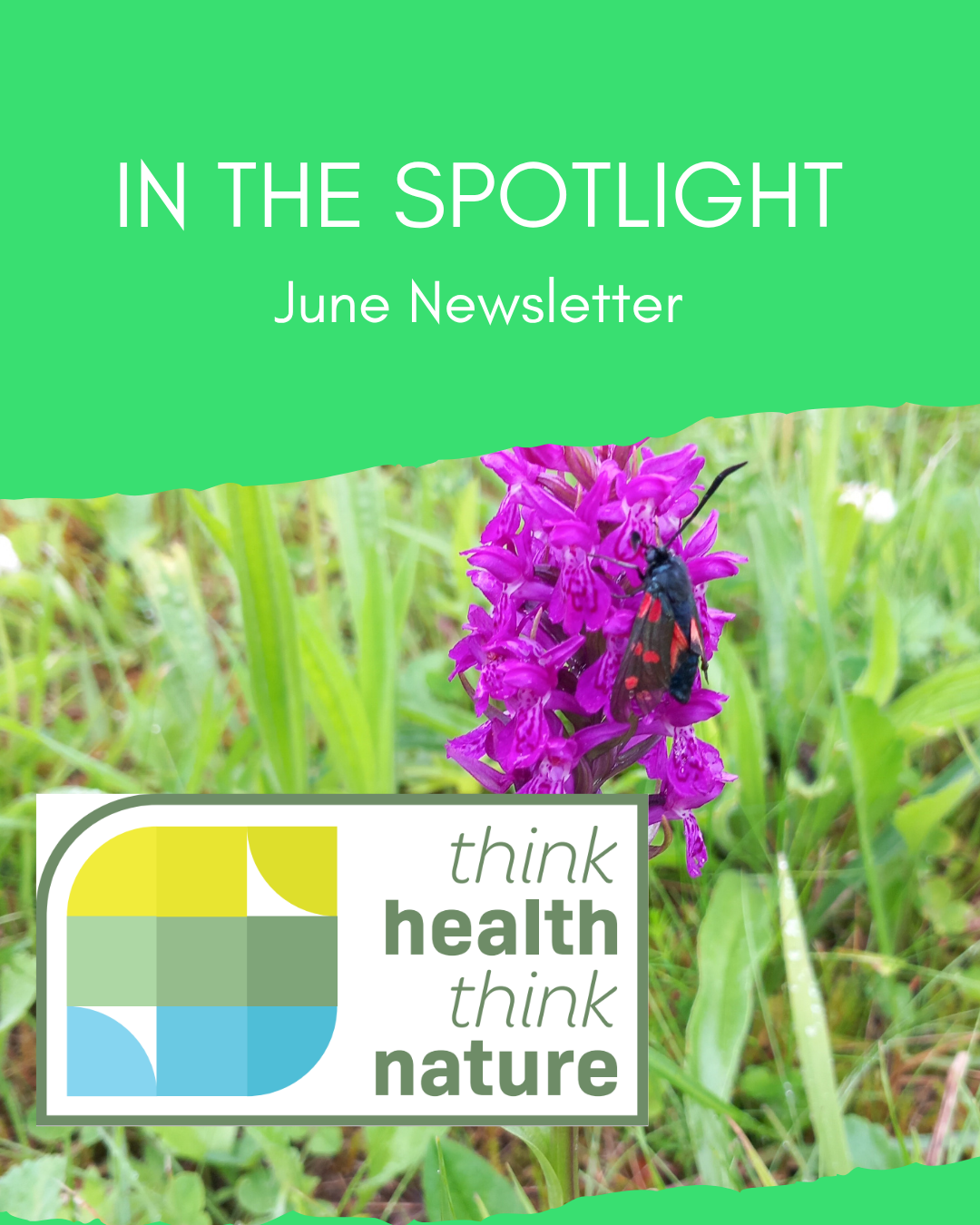 June newsletter – Think Health Think Nature
